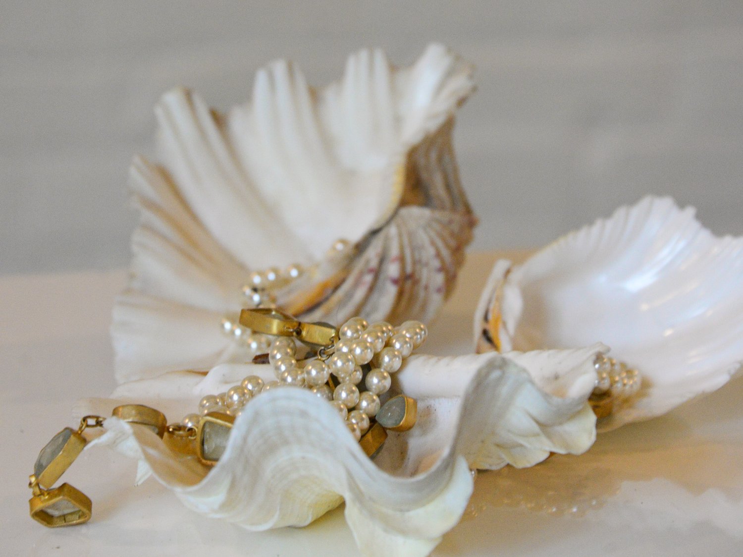 Clam Shells set of 3 | Louise Hall Decorative