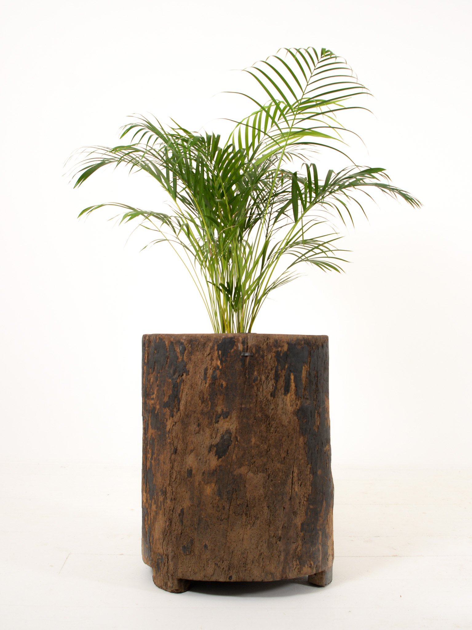 Naga Rice Beer Vat | Louise Hall Decorative